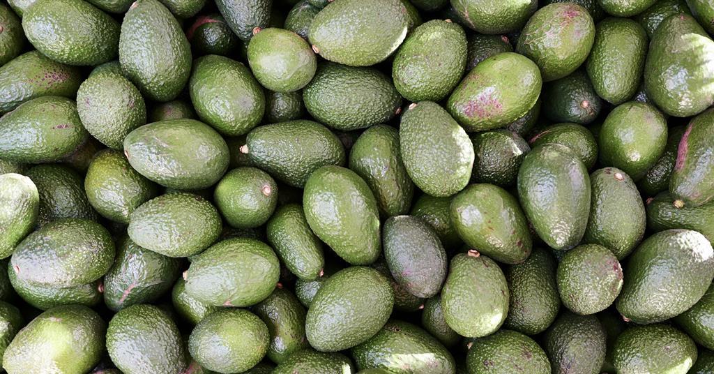 Mission Produce to acquire Calavo Growers in $430m avocado industry ...
