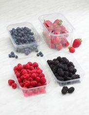 Infia reveals new soft-fruit range | Article | Fruitnet