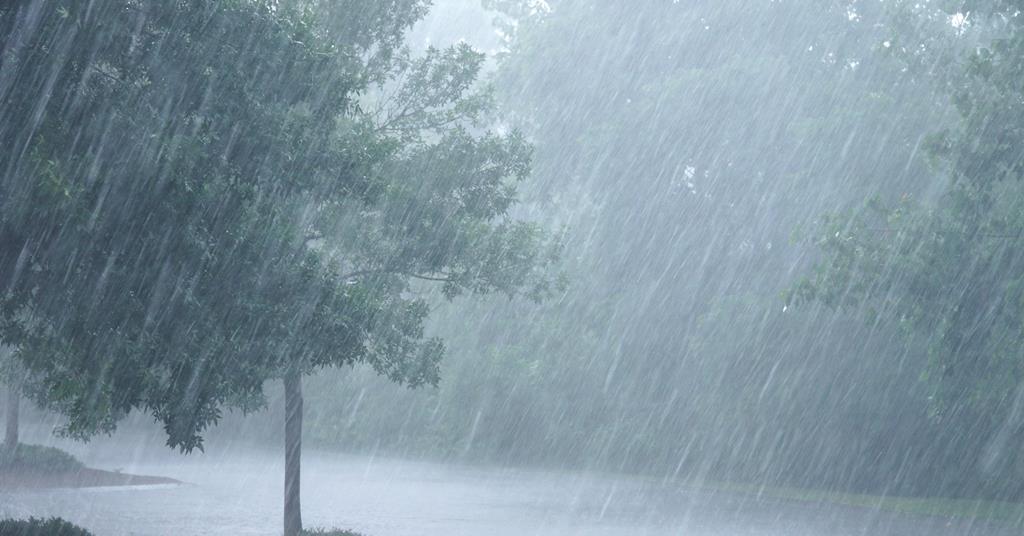 Western Cape flood impact becomes clearer | News | Fruitnet