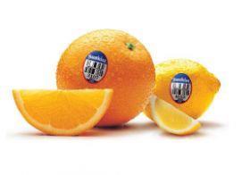 Sunkist launches new barcode label | Article | Fruitnet