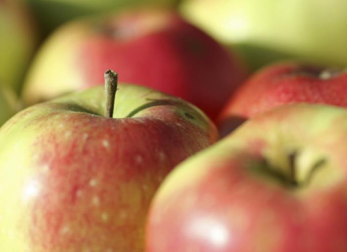 Lebanese apple growers face glut | Article | Fruitnet
