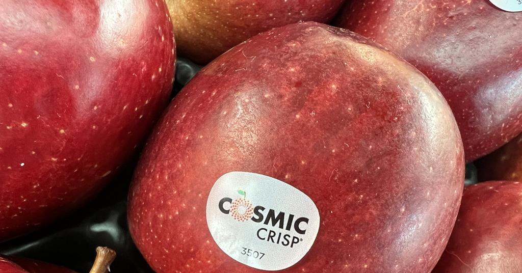 Black market for Cosmic Crisp raises concern in the US | News | Fruitnet