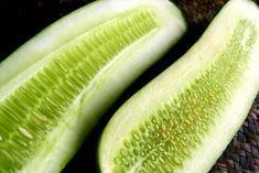 Rocket EC gets cucumber green light | Article | Fruitnet