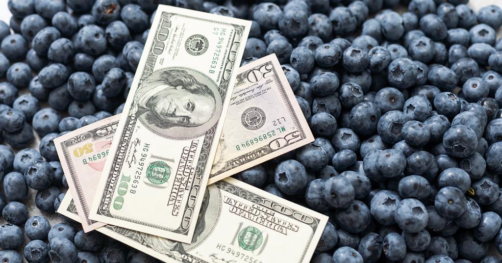 US blueberries get export funding boost | News | Fruitnet