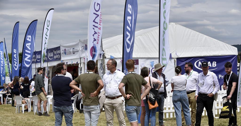Innovation On Show At Fruit Focus News Fruitnet