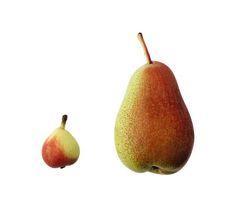 M&S launches Tiny Pear | Article | Fruitnet