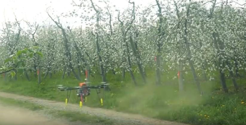 Video: world's first drone pollination | Article | Fruitnet