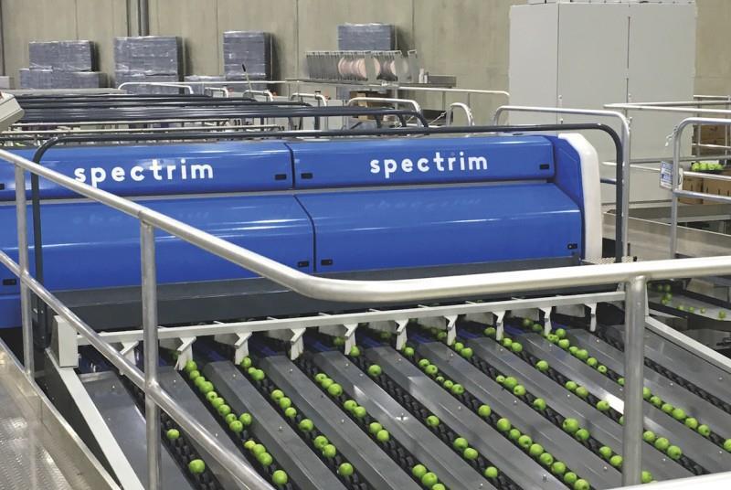 The brightest point on the Spectrim | Article | Fruitnet