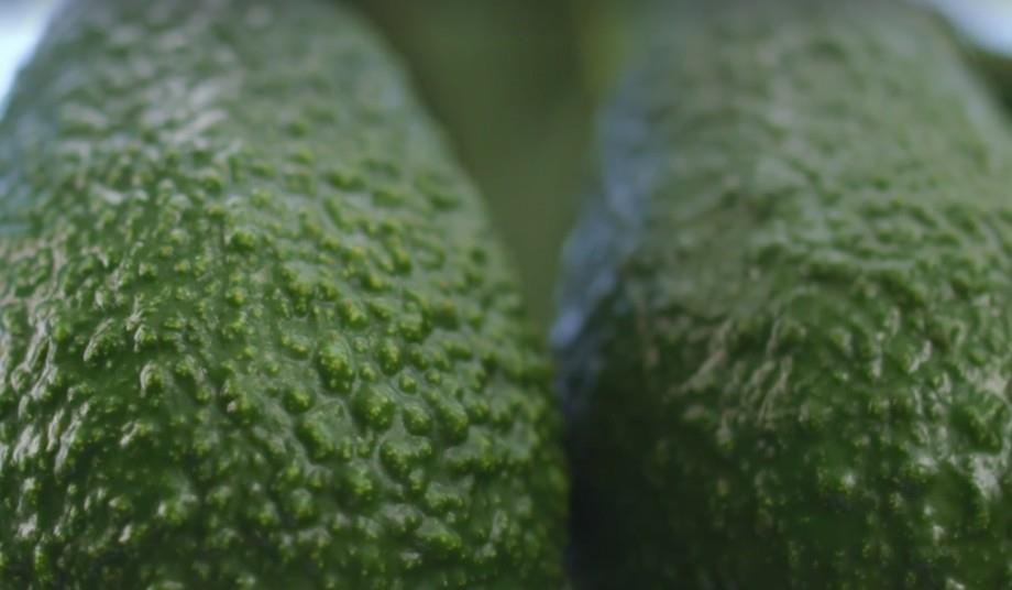 Fresca launches avocado spin-off | Article | Fruitnet