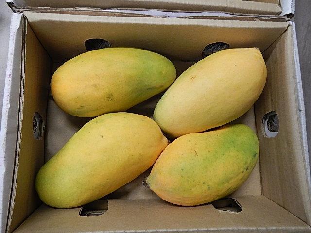 Japan welcomes Pakistani mangoes | Article | Fruitnet