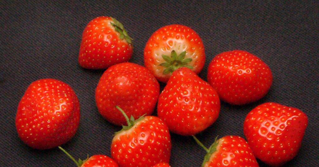 Redeva prepares Red Princess for debut | Article | Fruitnet