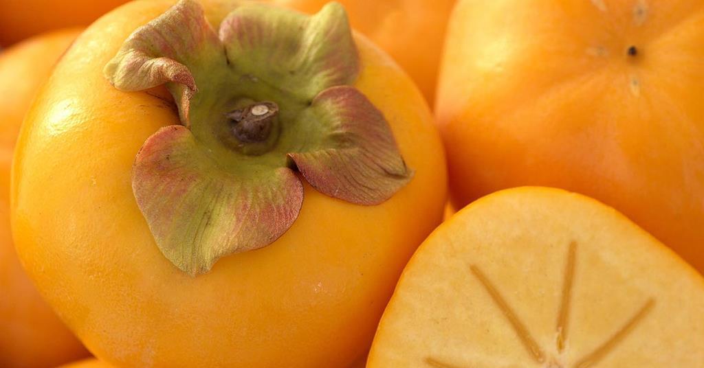 NZ persimmons closer to US access | Article | Fruitnet