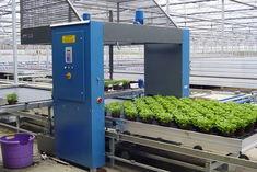 Robotany | Article | Fruitnet