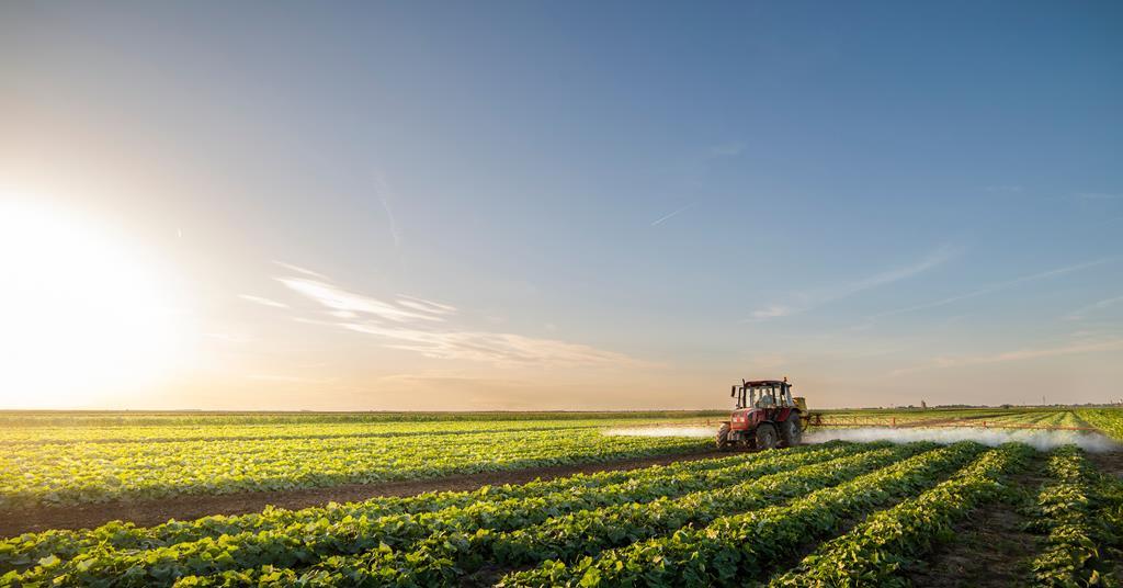 SFI scheme reopened to thousands of farmers | News | Fruitnet