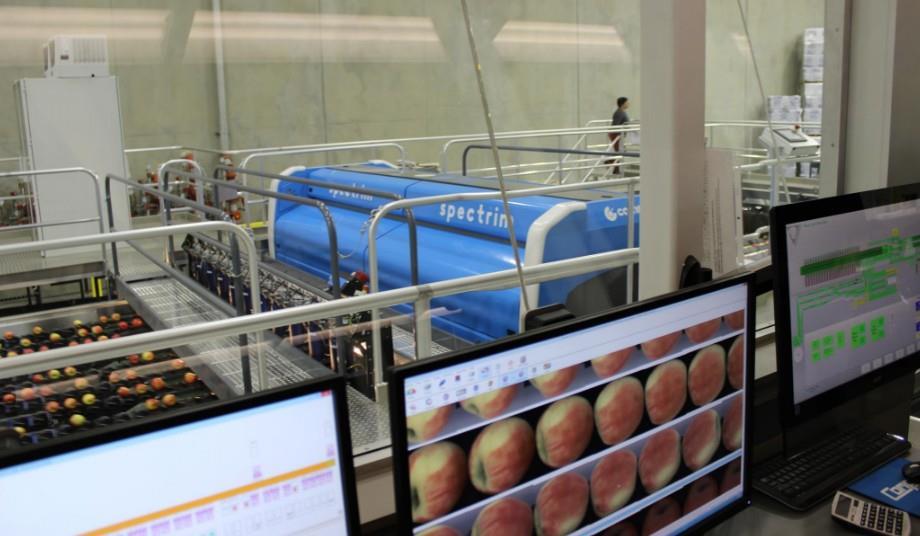 Compac extends Spectrim to competitor lines | Article | Fruitnet