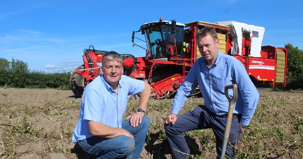 Market trends push up Irish potato production | News | Fruitnet