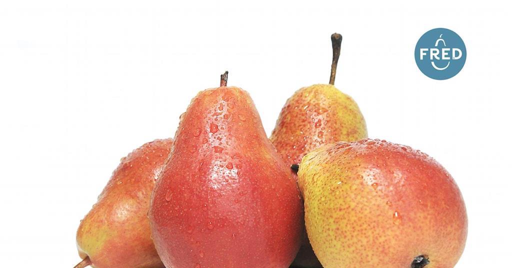 Italien: Erste Ernte der Birne Fred® erfolgreich abgeschlossen ...