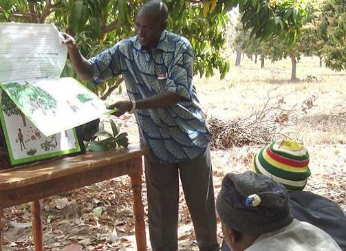 Coleacp launches Fit For Market | Article | Fruitnet