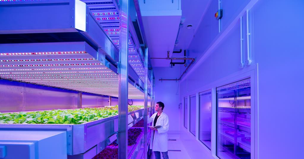 Indoor farm sprouts up in Shanghai | Article | Fruitnet