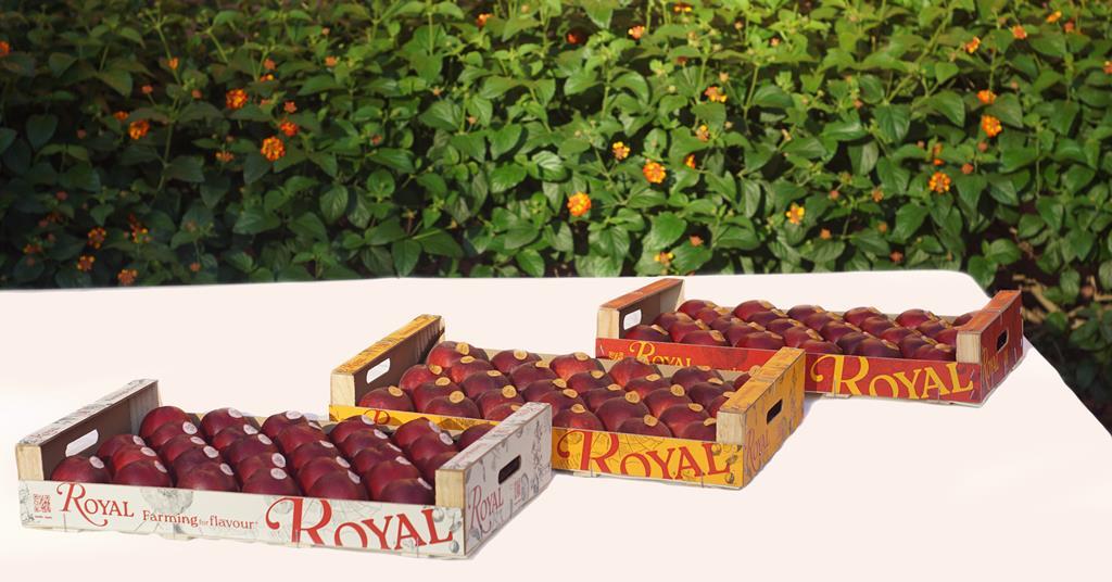Royal debuts innovative stonefruit packaging | News | Fruitnet