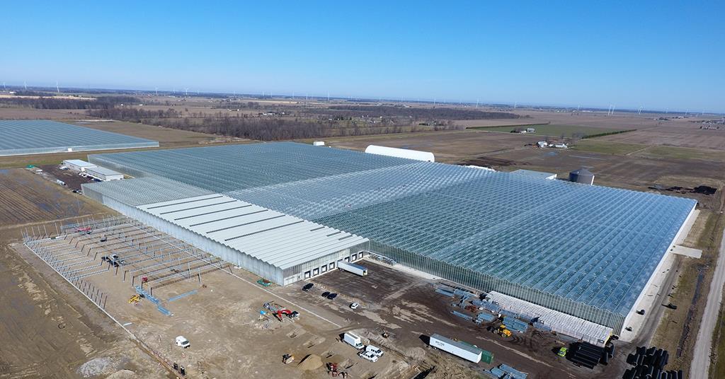 NatureFresh Farms builds new DC | Article | Fruitnet