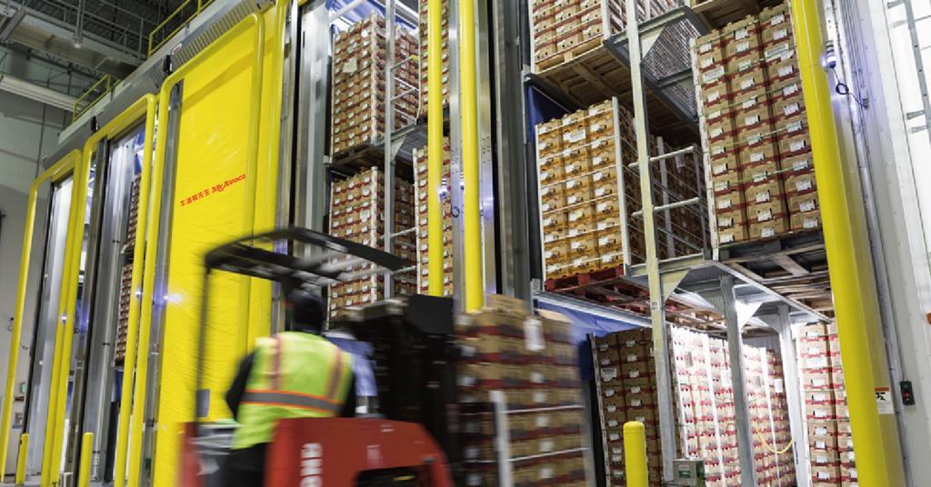 Mr Avocado introduces new ripening centres | Advertorial | Fruitnet