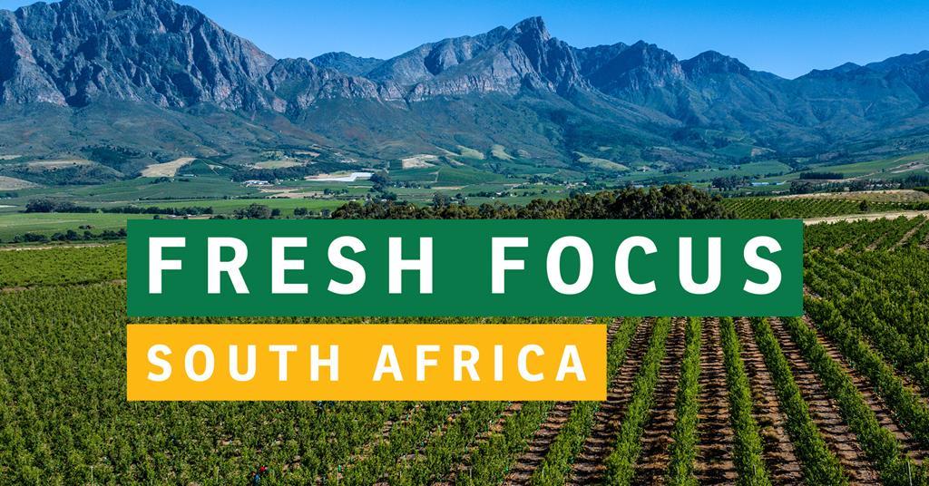 Coming soon: Fresh Focus South Africa 2025 | Promotion | Fruitnet