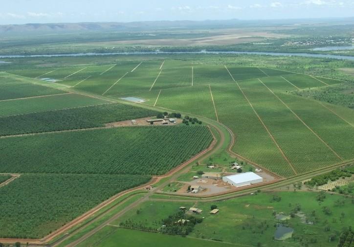 Australian report recommends dryland crops | Article | Fruitnet