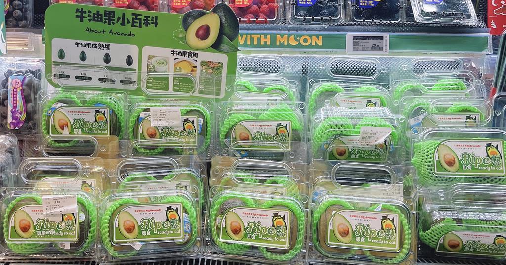 Mr Avocado introduces new ripening centres | Advertorial | Fruitnet