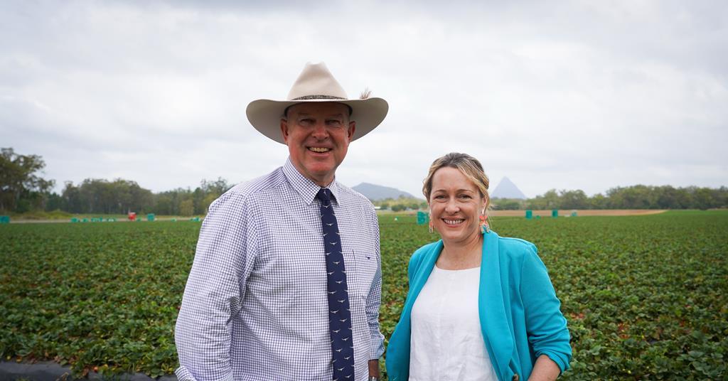 Rachel Chambers named Queensland Food Farmers’ Commissioner | News ...