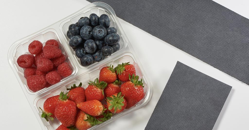 Elliott’s Echo fruit pad hits the market | News | Fruitnet