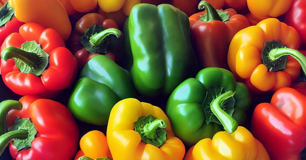 Sollum and Delphy partner on greenhouse LED research | News | Fruitnet