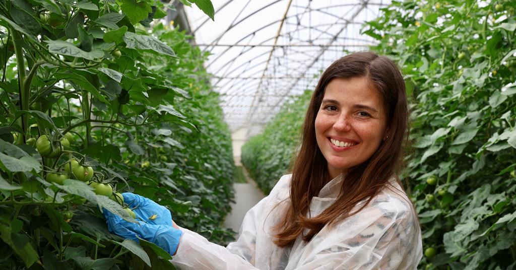 Masters in sustainability and quality: lessons from Portugal | Features ...