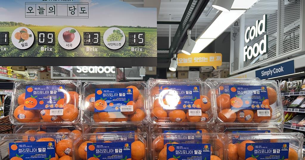 Analysis: Korea’s fruit imports adjust after return of tariffs ...