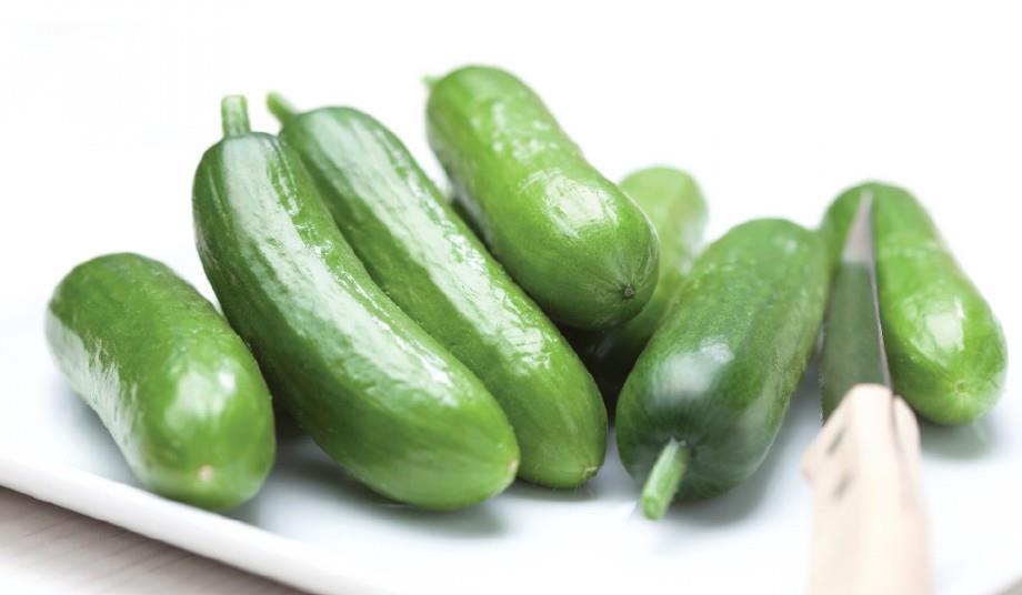 Cucumber calling | Article | Fruitnet