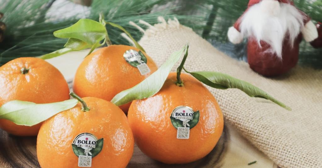 Bollo International joins The Natural Fruit Company | Article | Fruitnet