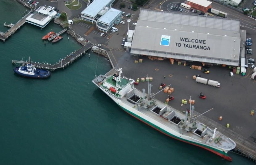 Tauranga Port begins expansion | Article | Fruitnet