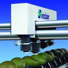 Sinclair set to sell iQ | Article | Fruitnet