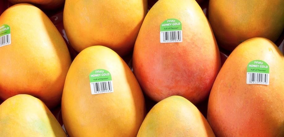Honey Gold building market share | Article | Fruitnet