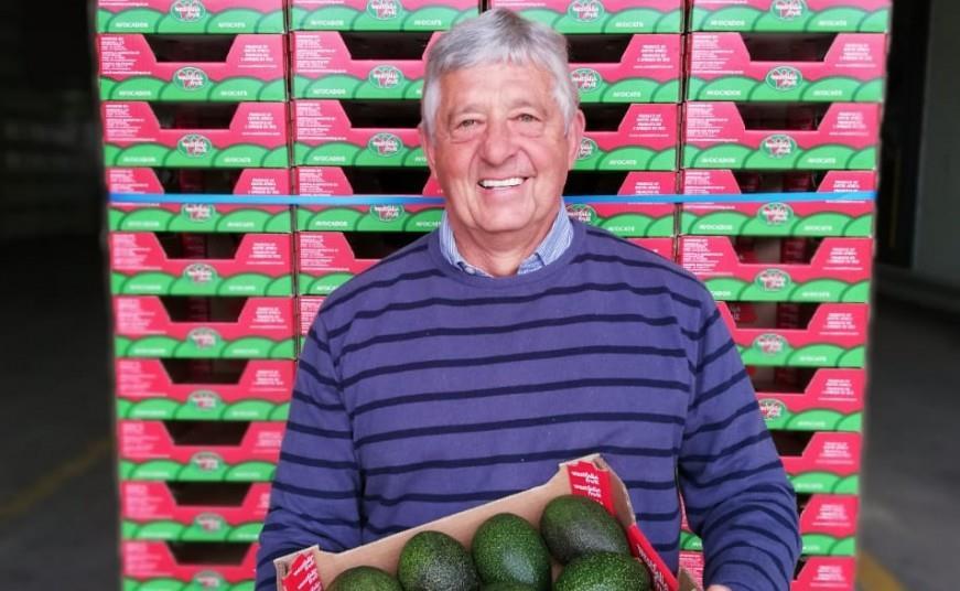 A Gem of an avocado | Article | Fruitnet