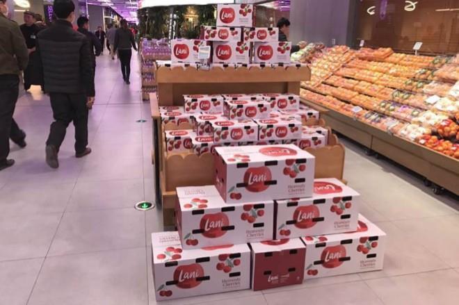 Freshmax looks to NZ cherry season | Article | Fruitnet
