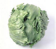 Lettuce industry calls for unity | Article | Fruitnet