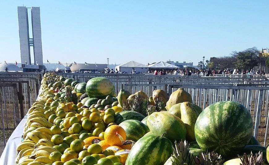 Brazilian mangoes lengthen RSA season | Article | Fruitnet