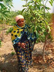 Tanzanians get mango help | Article | Fruitnet