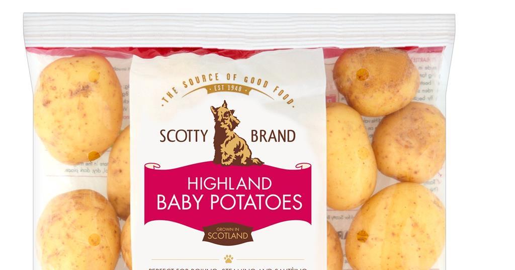New potato range for Scotty Brand | Article | Fruitnet