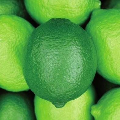 Peru posts lime trade boost | Article | Fruitnet