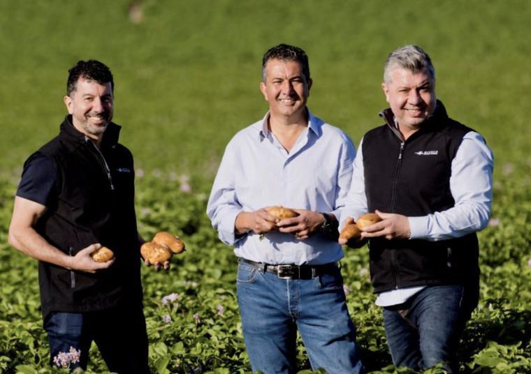Mitolo Family Farms wins Coles award | Article | Fruitnet