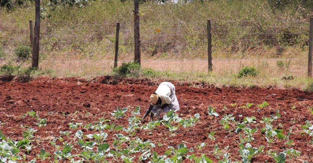 Report reveals fall in climate finance for small-scale farmers | News ...