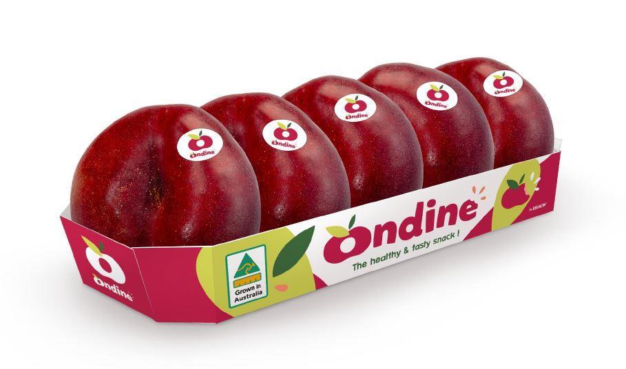 Snack-sized Ondine builds momentum | News | Fruitnet