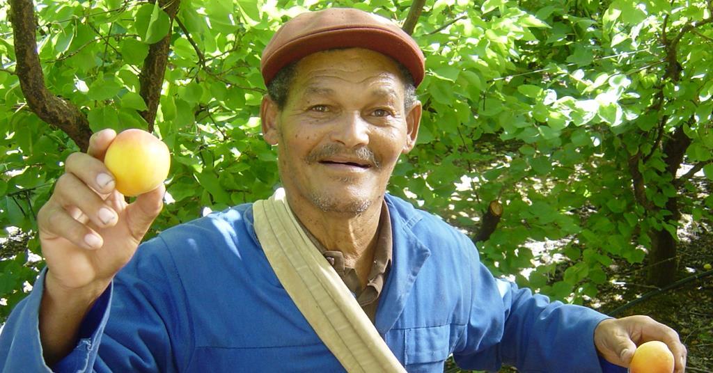 Siza: farms can play big role in combatting climate change | News ...